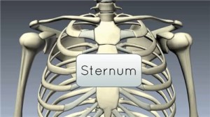 Sternum Pain: Symptoms & Treatment
