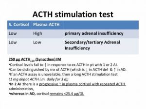 ACTH Stimulation Test: Purpose, Procedure, Result Meaning