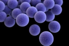 Methicillin-resistant Staphylococcus Aureus (MRSA) - Medical Facts