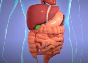 Swollen Abdomen: Causes and Treatment - IYTmed.com